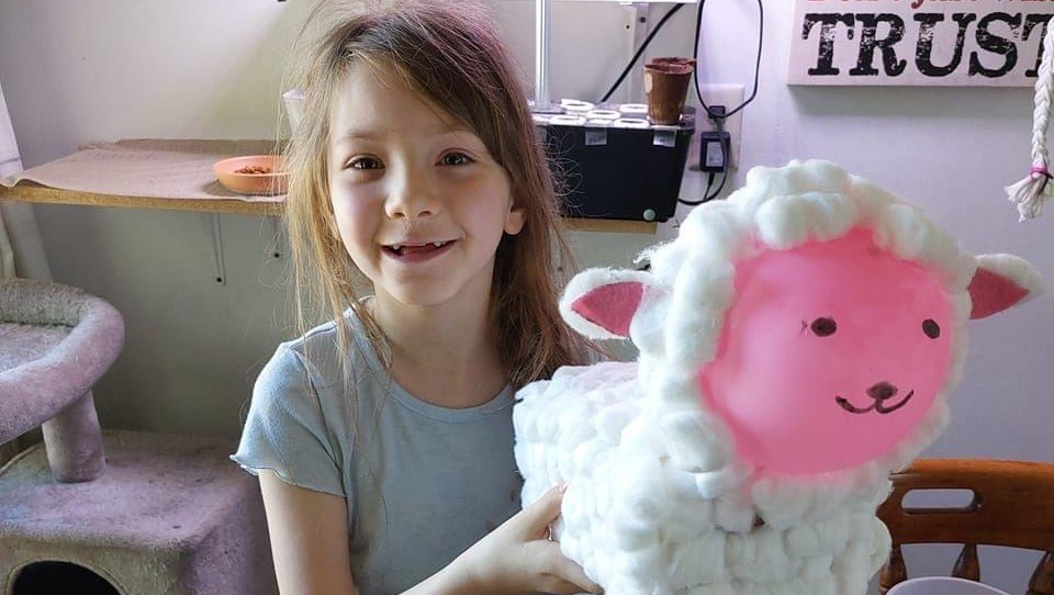 Fundraiser by Sarah Shreeves : Help Our Rae of Sunshine Fight Heart Failure