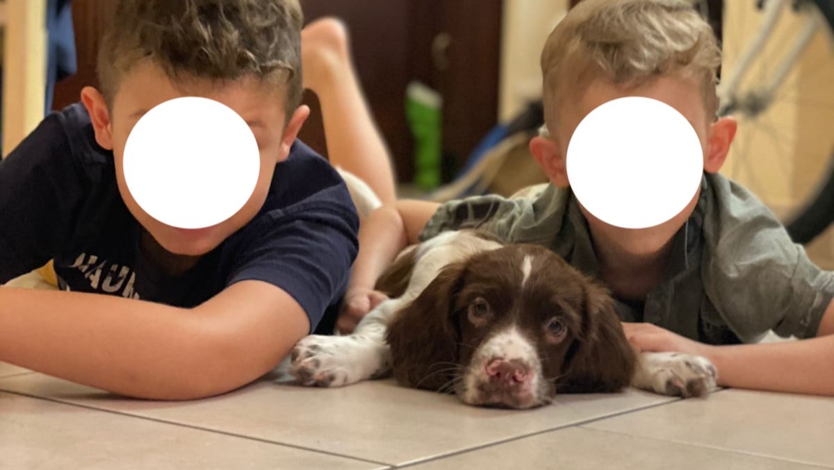 Fundraiser for Lucinda Minatore by Alessio Pinna : Aiutiamo Brando a ...