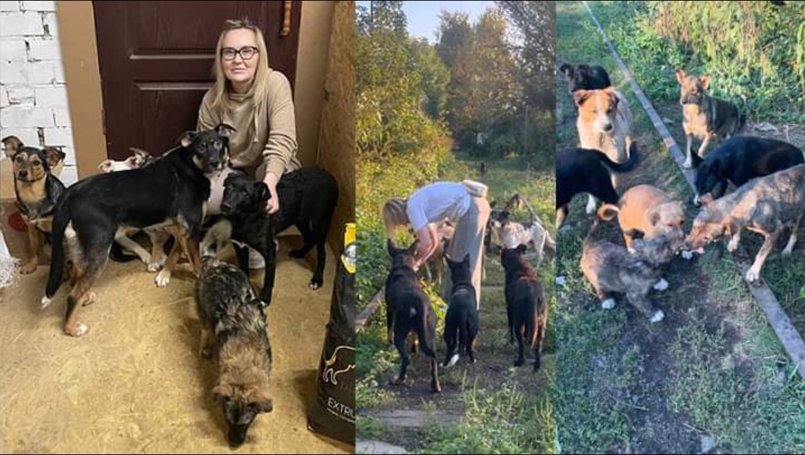 Fundraiser by Iana Kiessling : Help Ukrainian animal shelter and feed ...