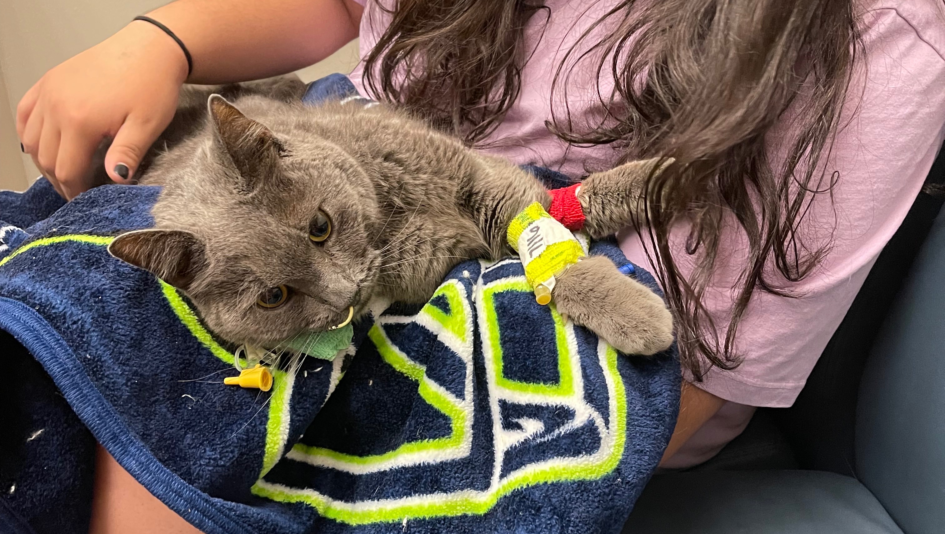 Fundraiser by Jackeline Cardenas : Help Asher Fight Fatty Liver Disease