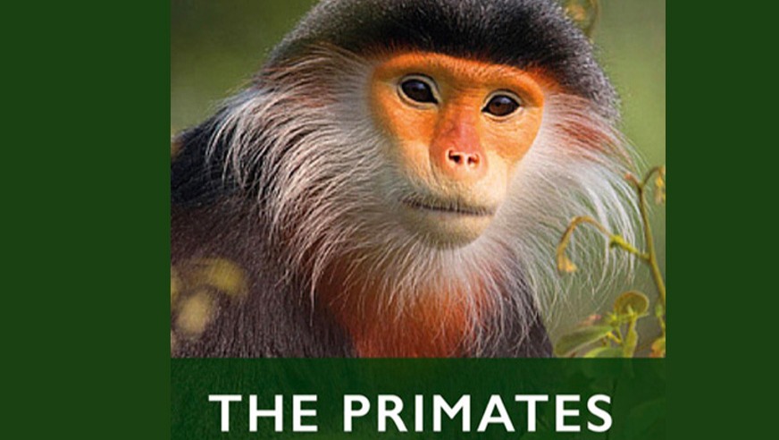 Fundraiser by Matthew Richardson : Help Me Create "The Primates"