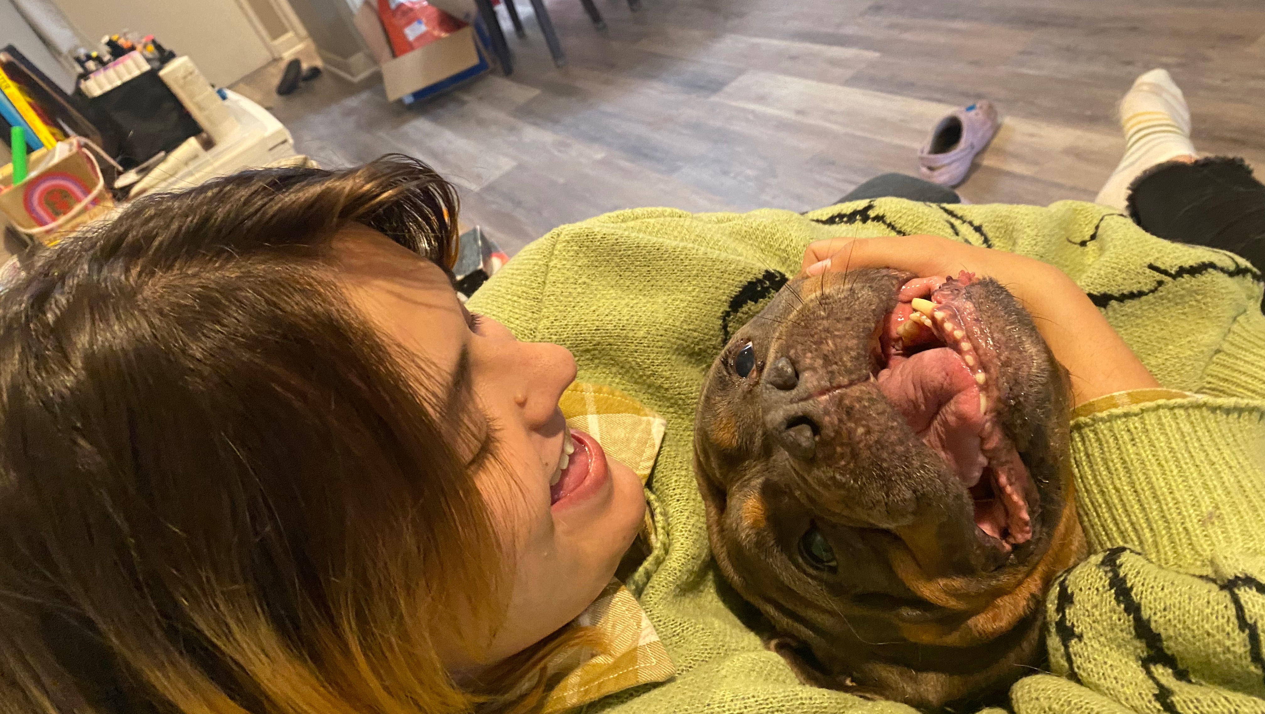 Fundraiser by Destin Cramer : Help Meatball Get Life-Saving Surgery