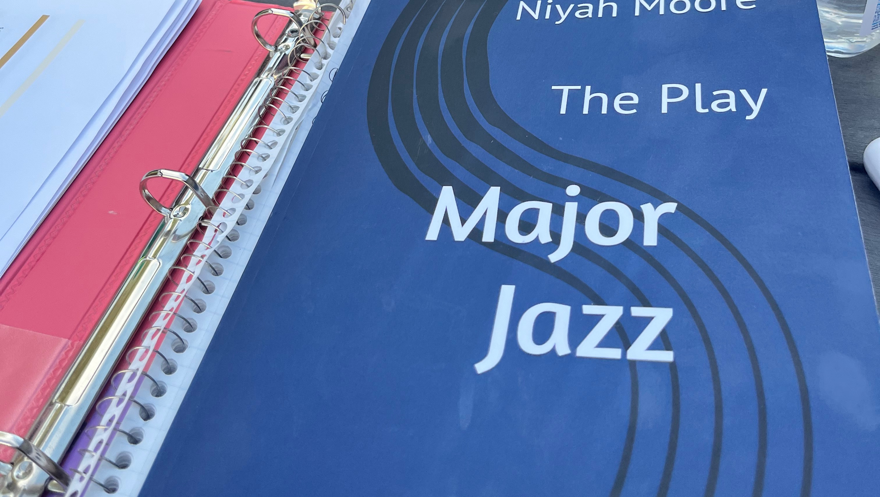 Fundraiser by Sha Rondaelecia Mack : Help Niyah Moore Recover from ...