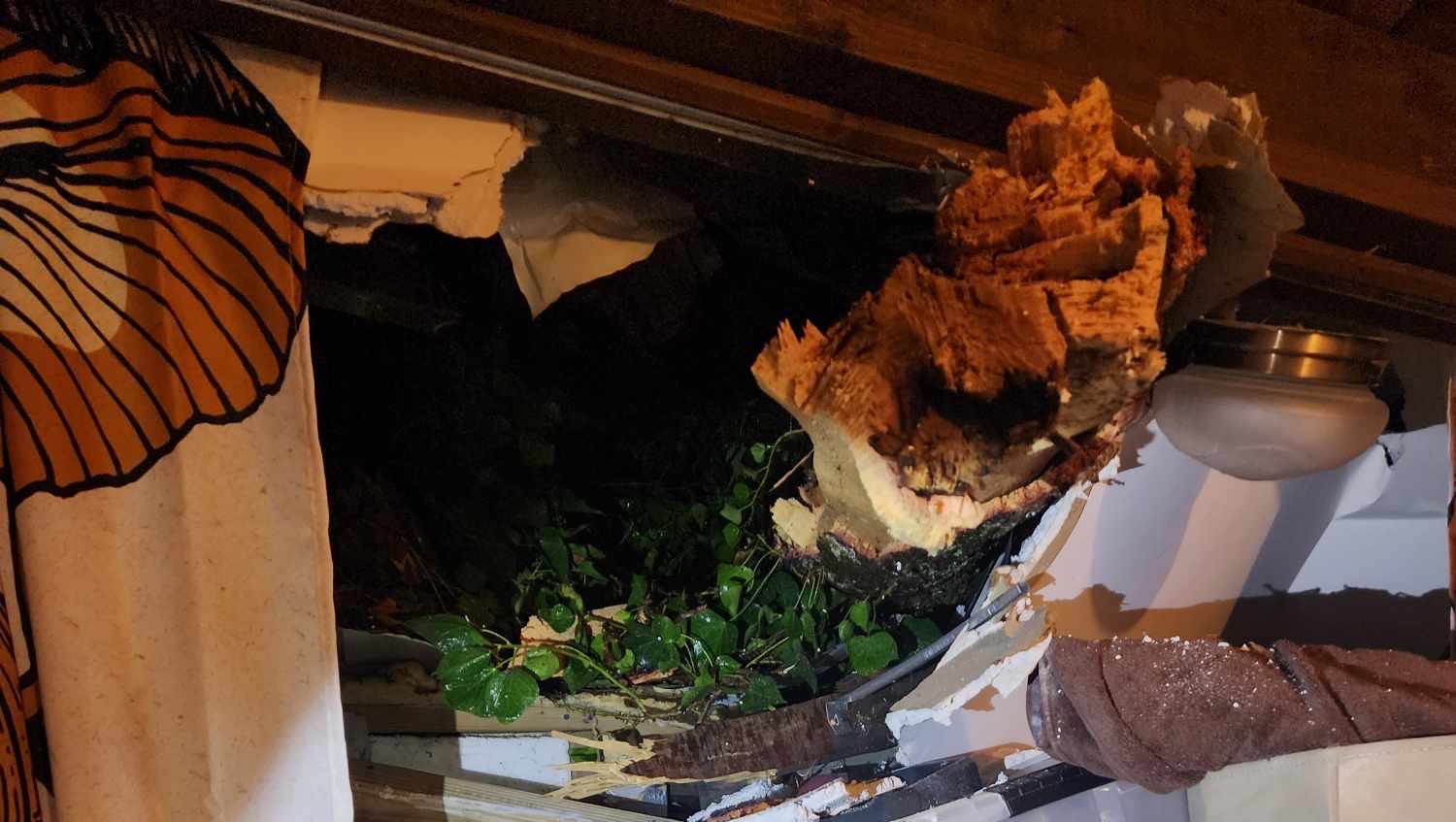 Fundraiser for Kelsie Borsay by Molly Fusco : Support Kelsie and Andrew ...