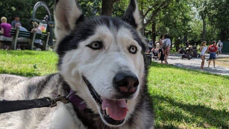 Fundraiser for Stephanie Reitman by Isabel Orlandino : Give Juneau a ...