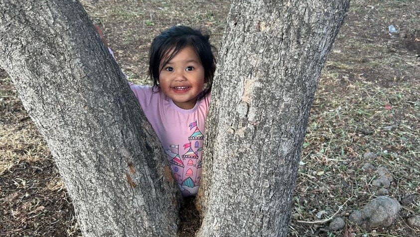 Fundraiser by Alexis Dimailig : A Tribute to Our Little Angel Elliana Skye