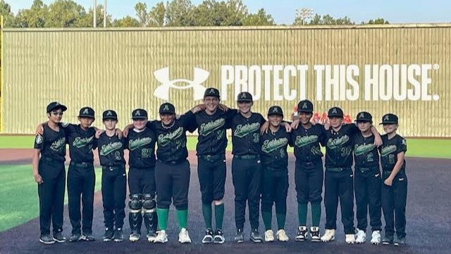 Fundraiser by Kate Maloney : Support the AYRA 12U Baseball Dreams in ...