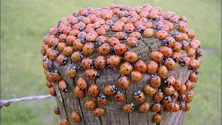 Fundraiser by Louise Moroz : Help Our Friend Move to Oregon for a Fresh ...