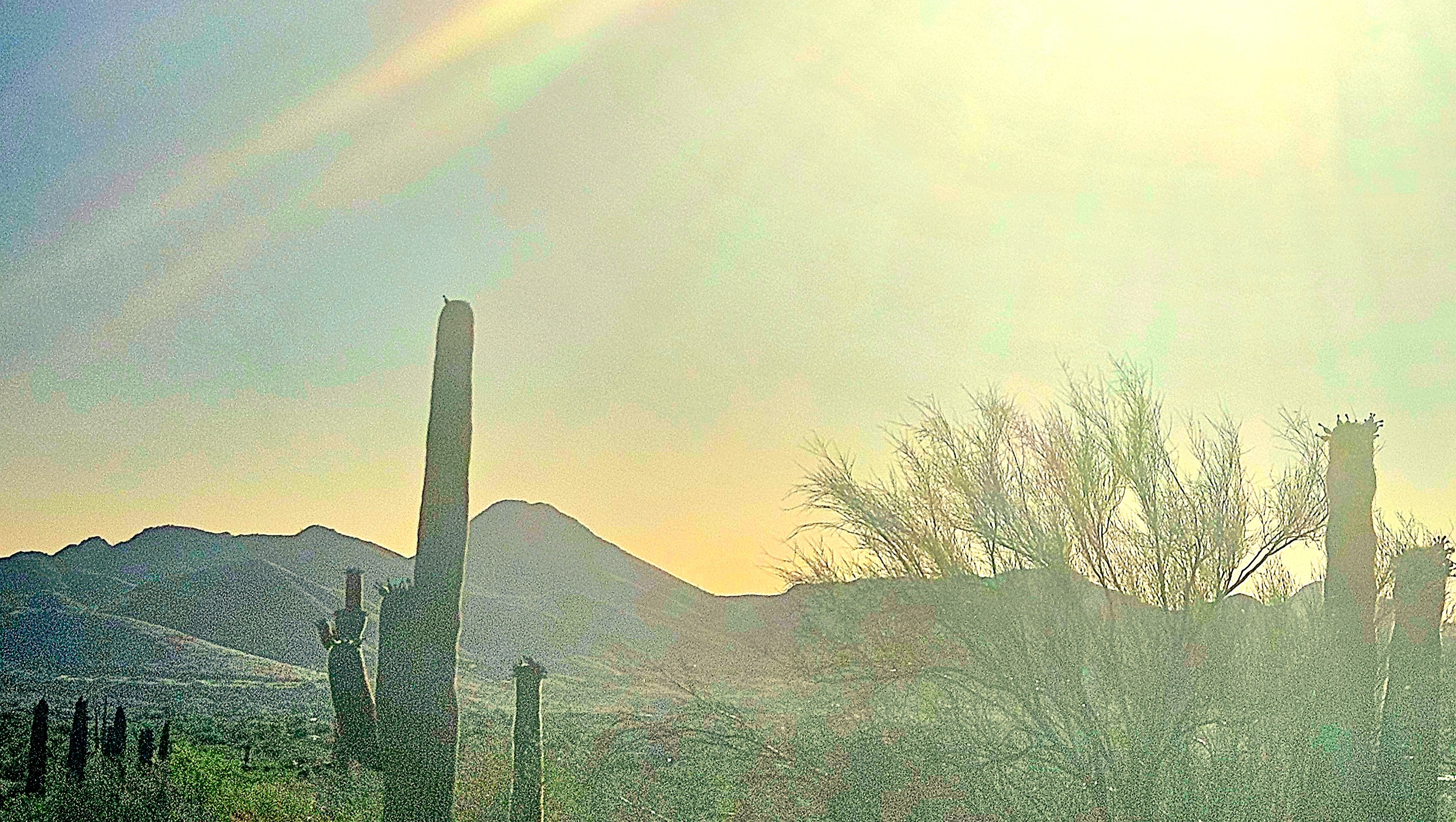 Fundraiser by Allison Fishman : Urgent Help Needed to Avoid Eviction ...