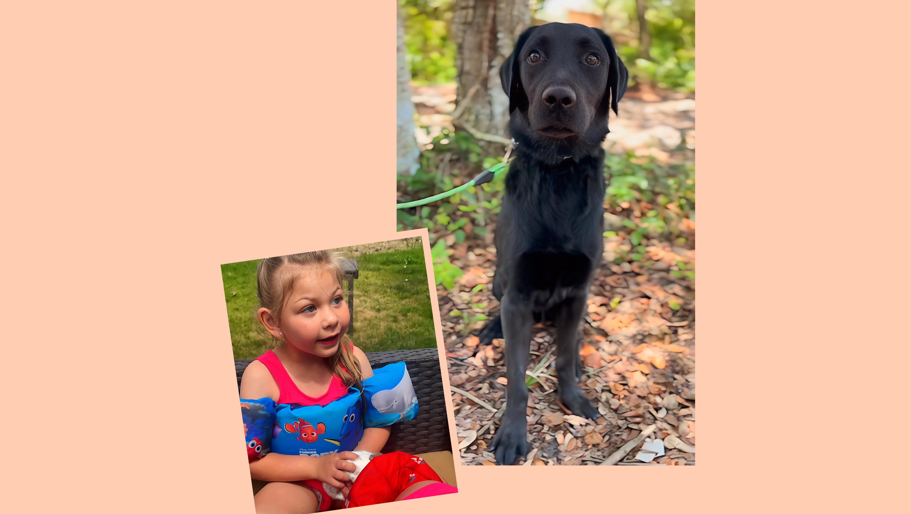 Fundraiser by Anyssa Zancanella : Help Bring Neo Home for Azaylee