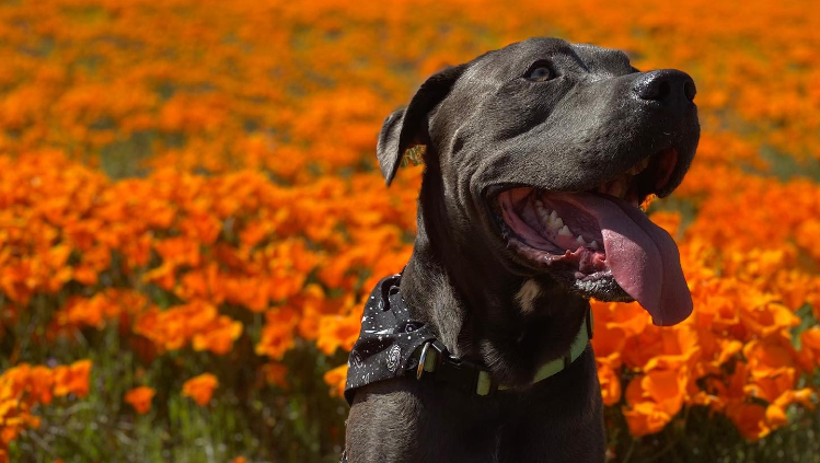 Fundraiser for Ariana Foster by Jennifer Arrowood : Support Welby's ...