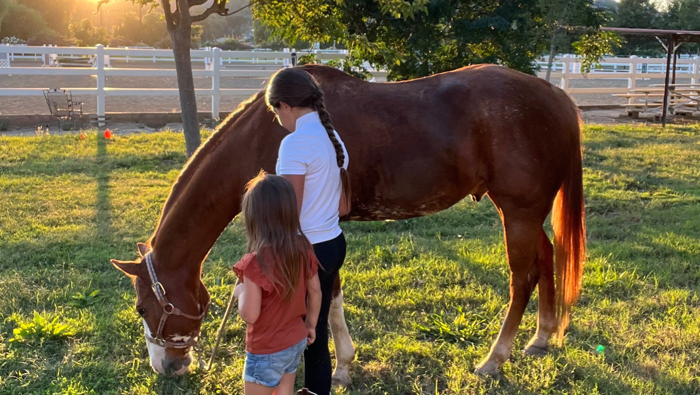 Fundraiser by Aimee Cervantes : Support Lily & Pearl After Brody's ...