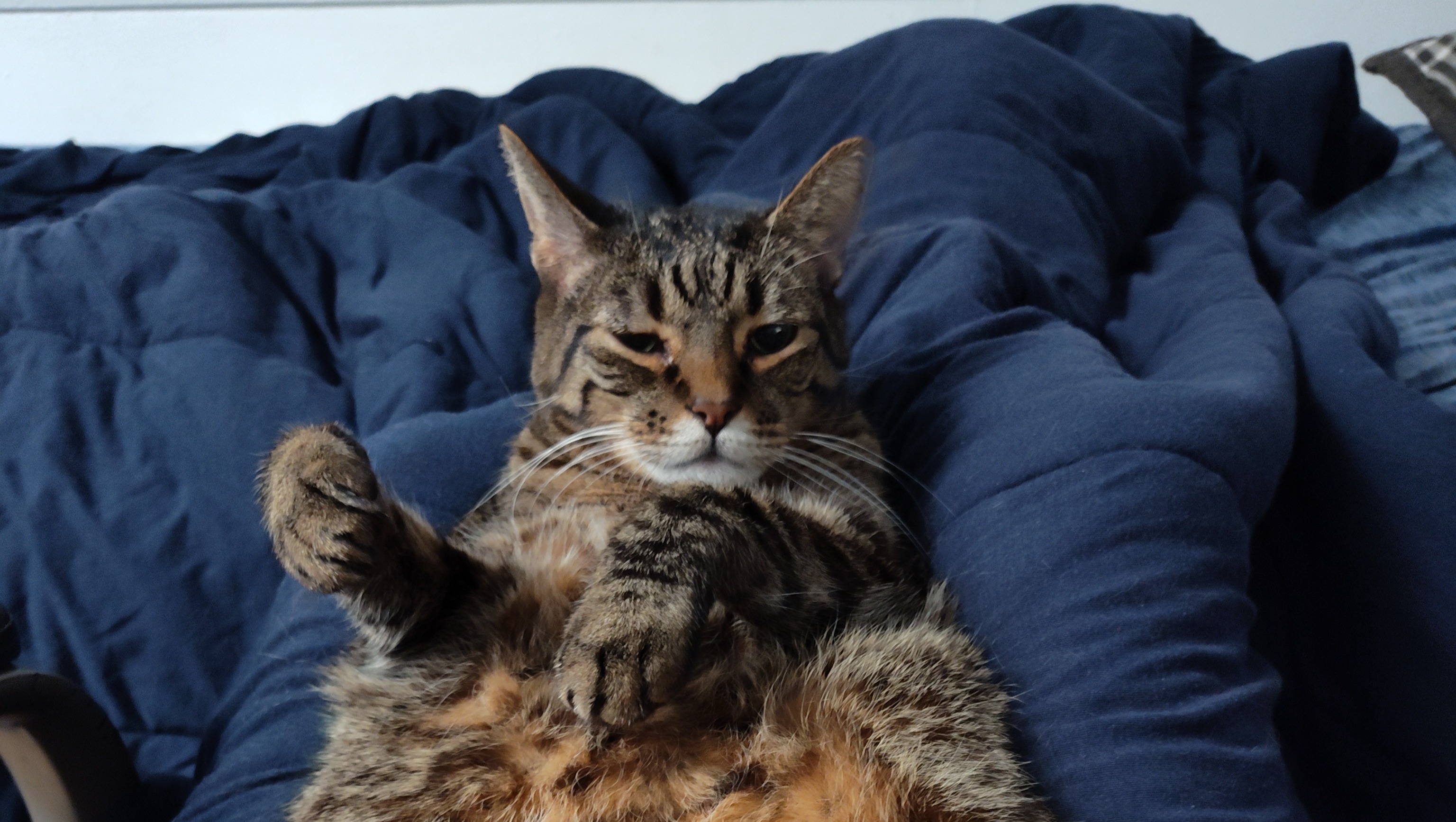 Fundraiser by casey osborne : Donate to Casey's Fresh Start Away from ...