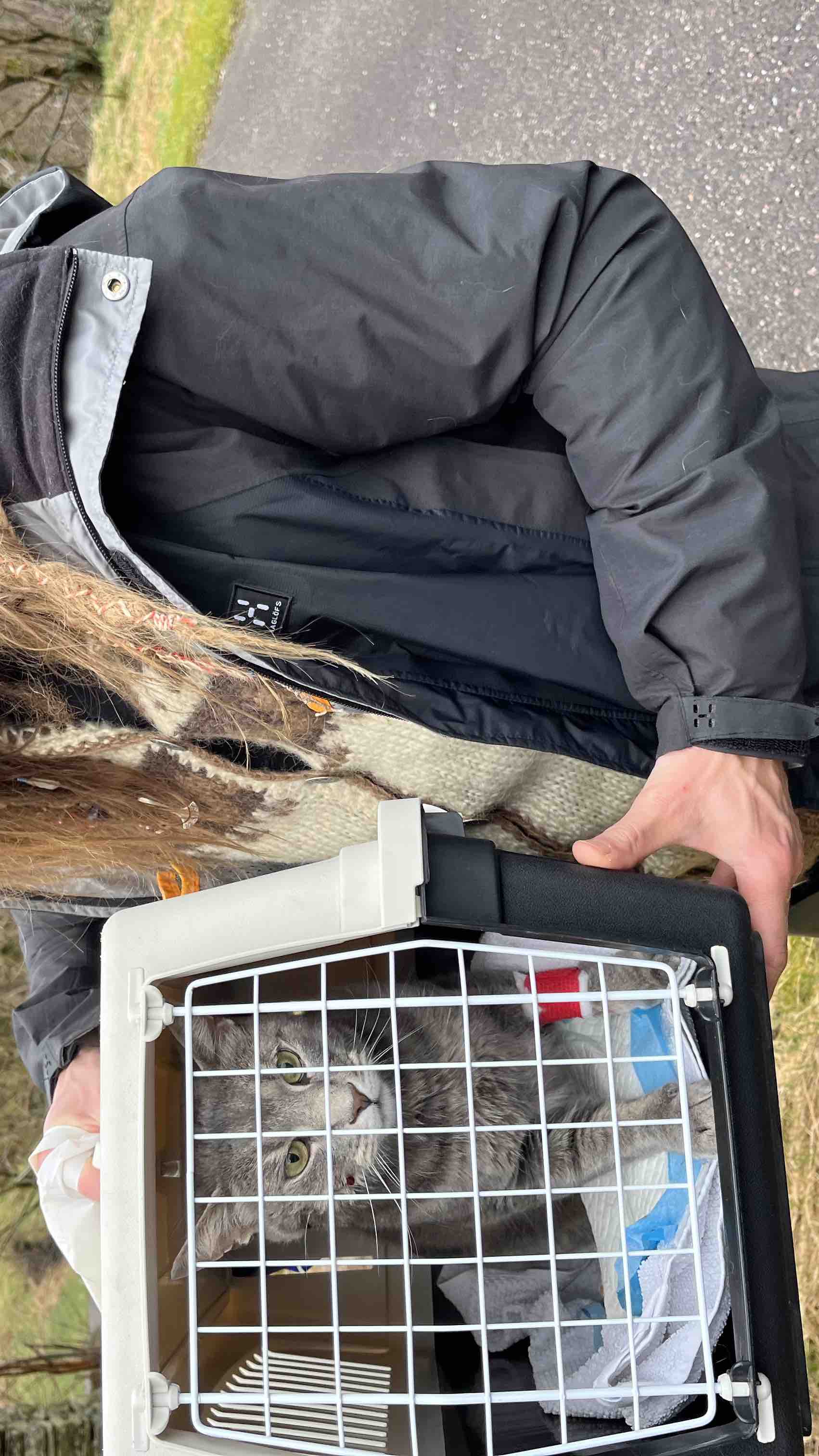 Fundraiser by Enok Groven : Help my cat, vintage shop and coffee brand ...