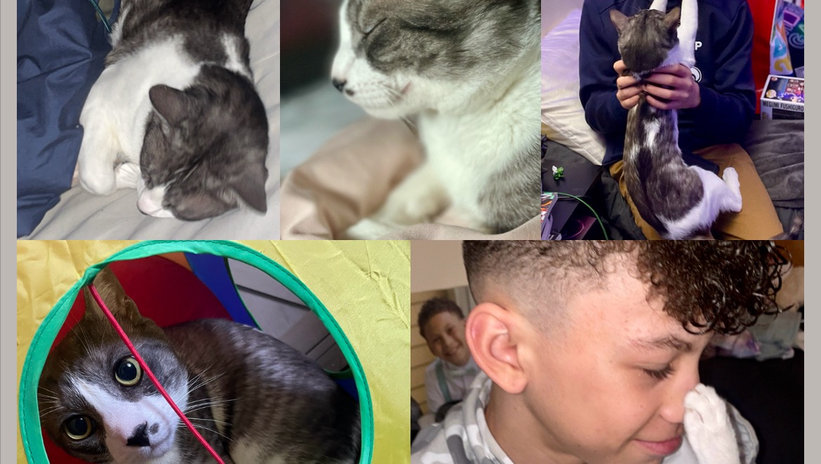 Fundraiser by Nikky Kidney : Help King Heal: Support JR's Emotional ...
