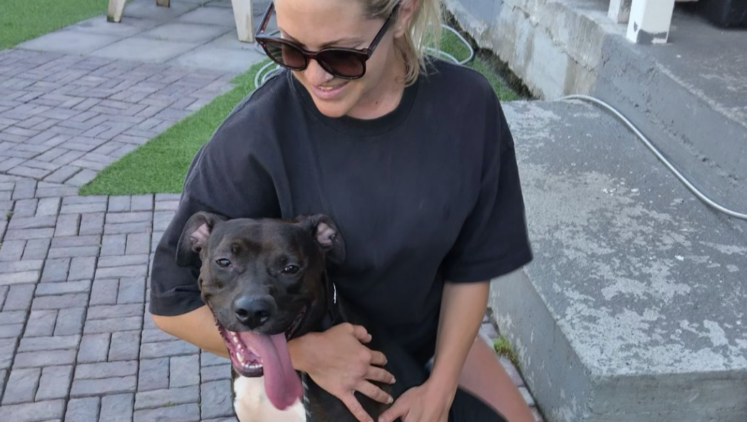 Fundraiser by Taylor Glover : Urgent Help Needed to Keep Nala Safe