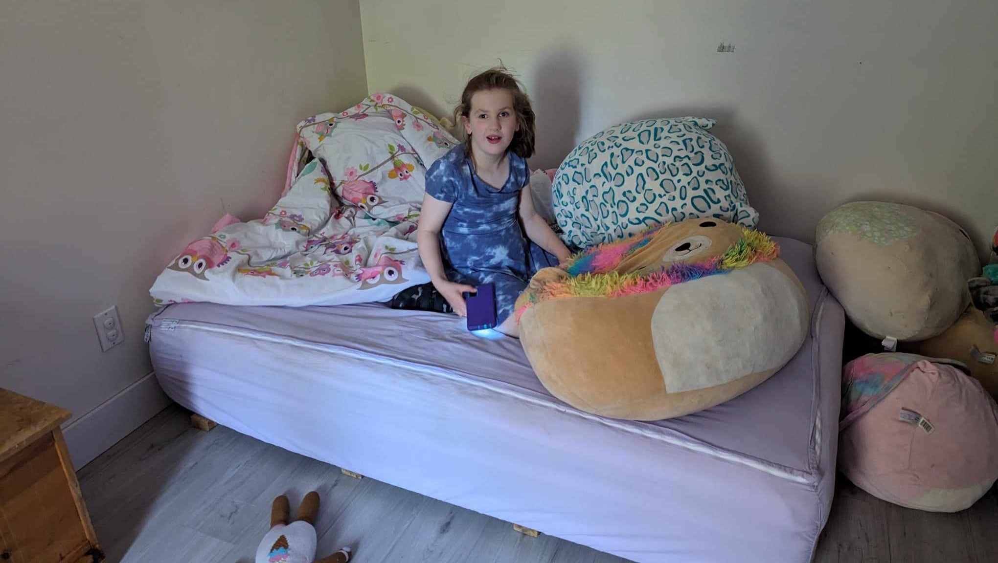 Fundraiser by Lorelei Clark : Please help Willow get a safety bed