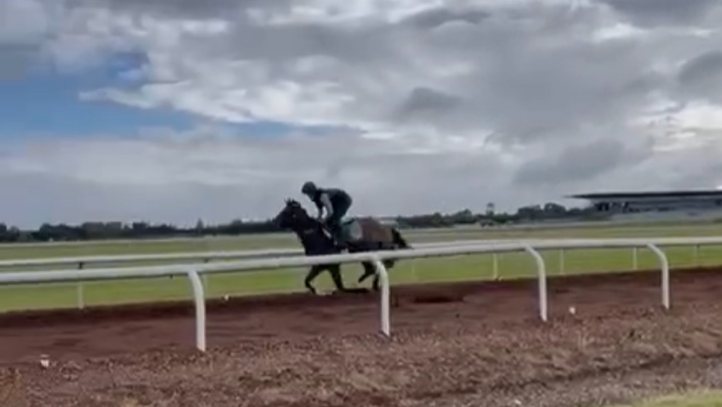 Fundraiser for David Donovan by Erin Campbell : Pat Smullen Charity ...
