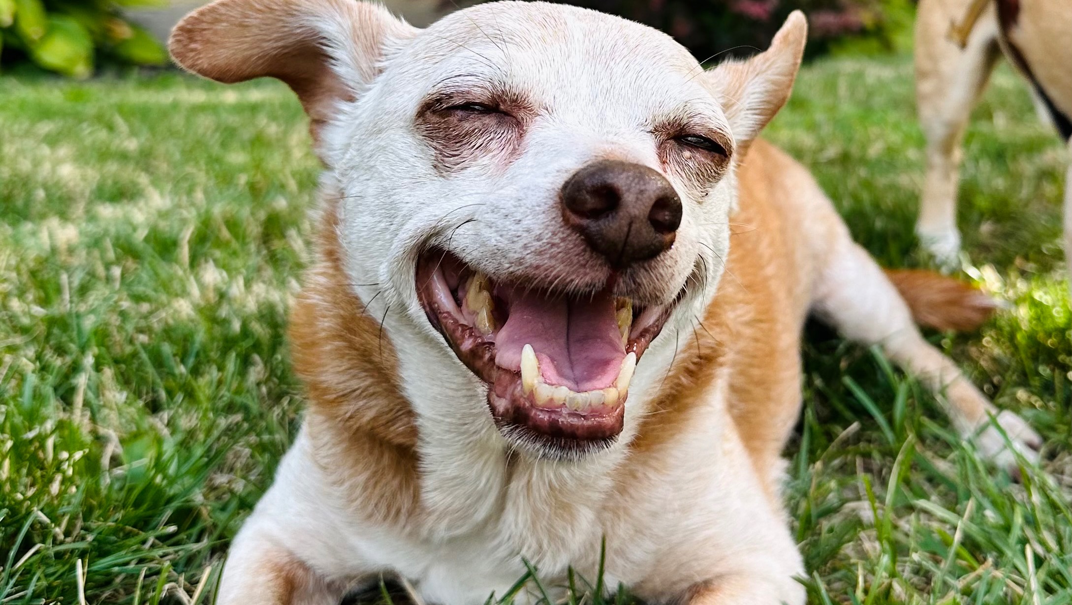 Fundraiser by Scott Routson : Help Nathan Get Life-Saving Heart Care