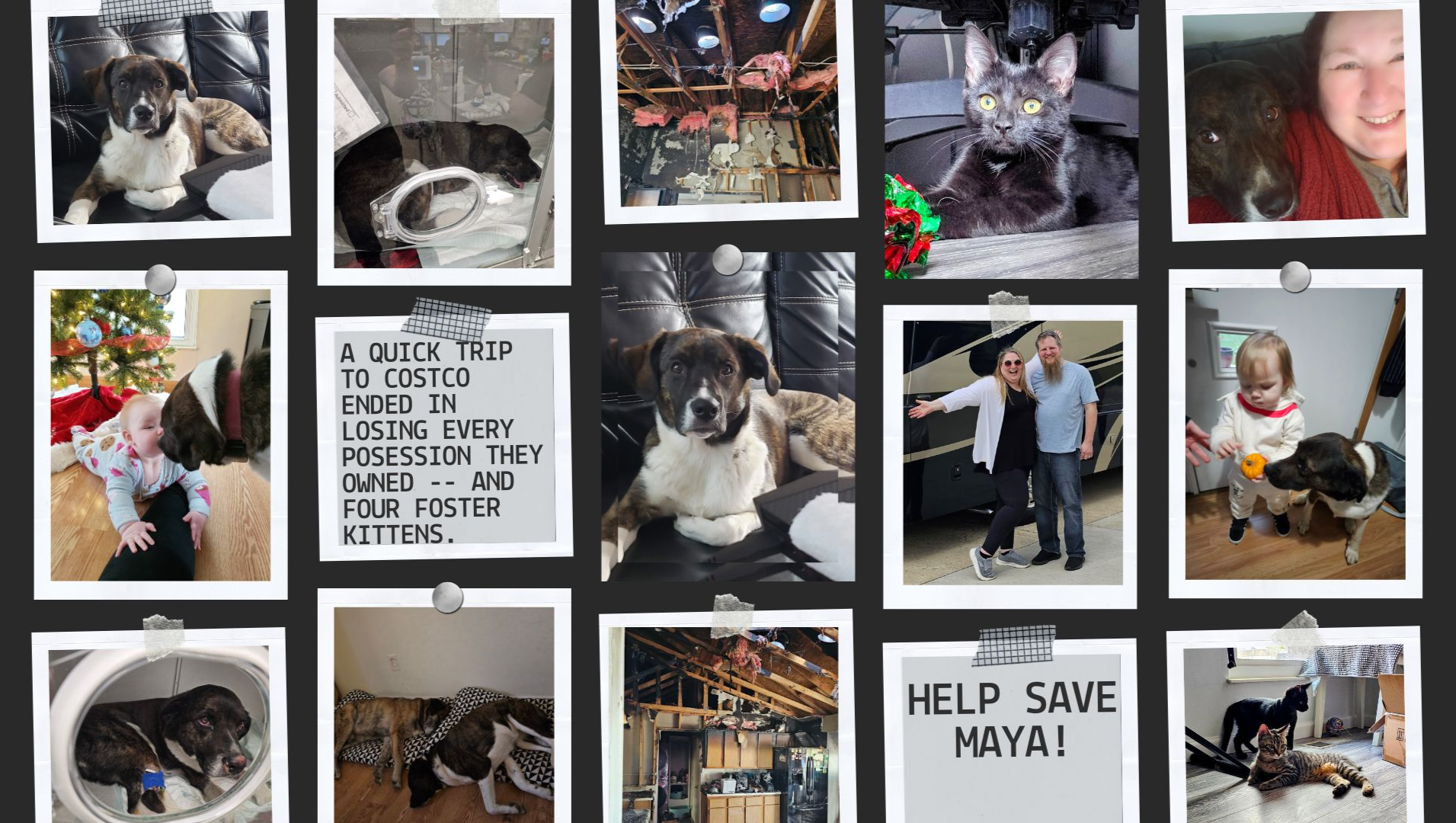 Fundraiser for Rebekaah Harkless by Becca Apfelstadt : Help Save Maya ...