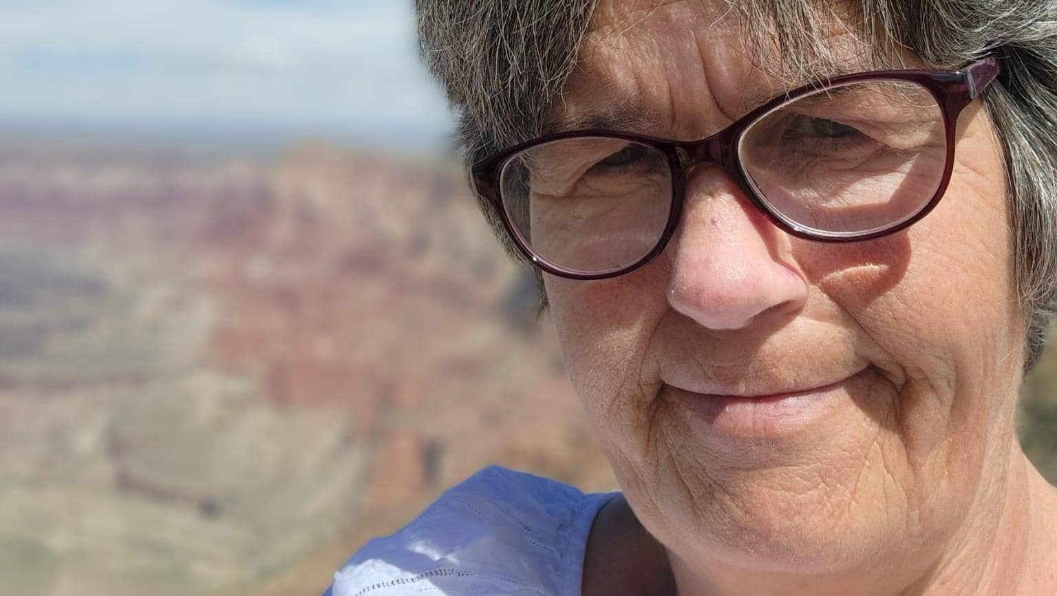 Fundraiser for Diane Weiss by Alex Weiss : Help Diane Weiss Cover Bills ...