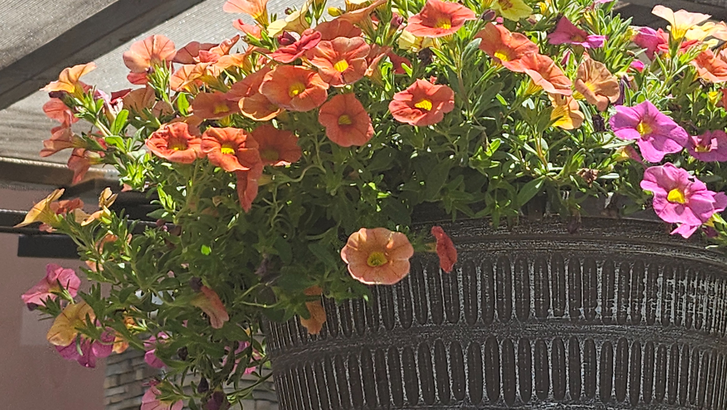 Fundraiser by Angela Neri : Join Us in Supporting a Family Member's Fight