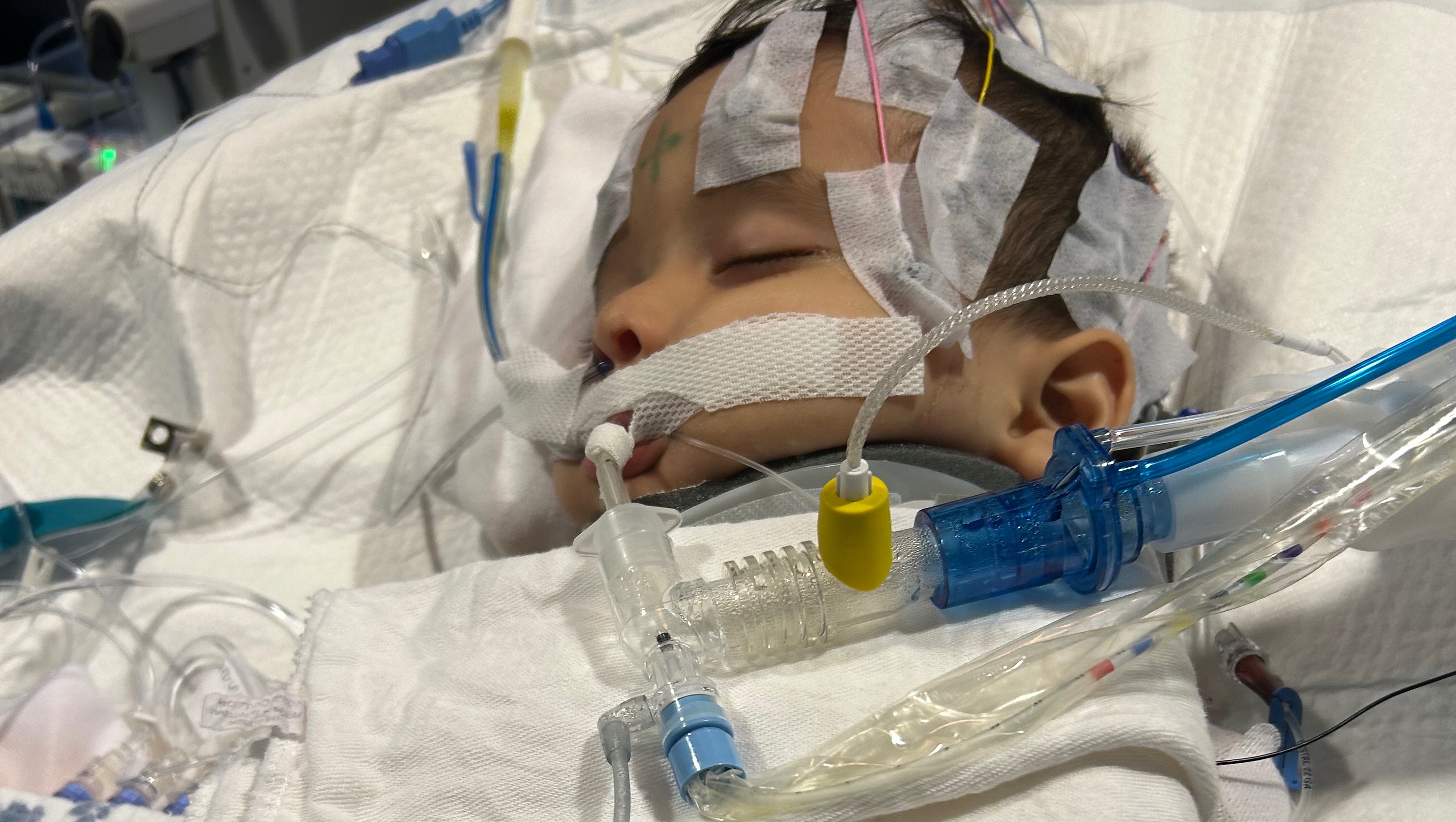 Fundraiser by Danitza Maldonado : Give Sebastian a Chance at Recovery