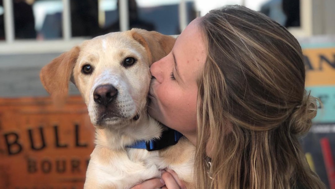 Fundraiser by Harrison French : Help Riggs After Losing Rachel