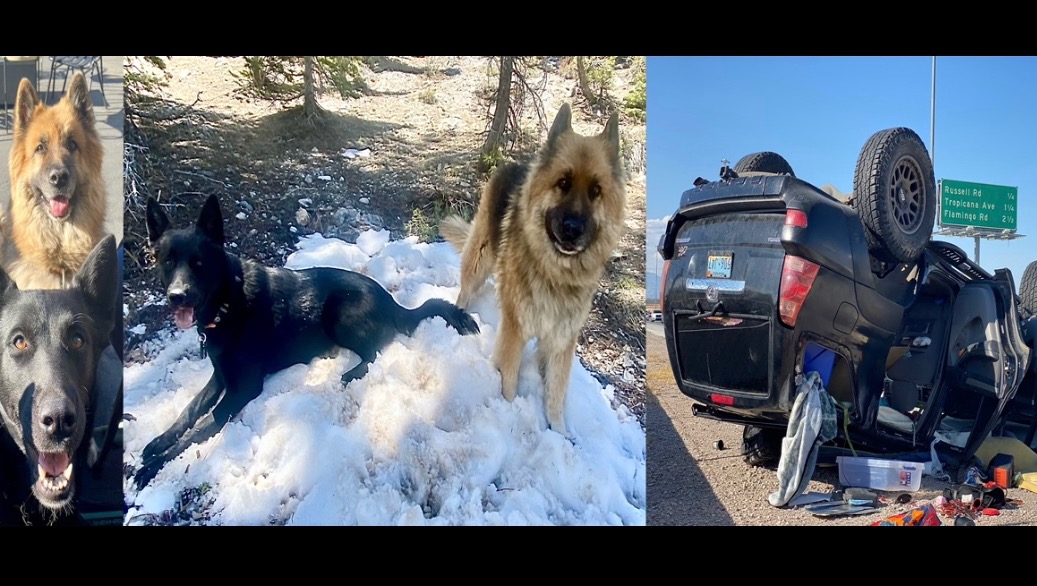 Fundraiser by Andrew Shumaker : Aid for Andrew and Pups After Crash