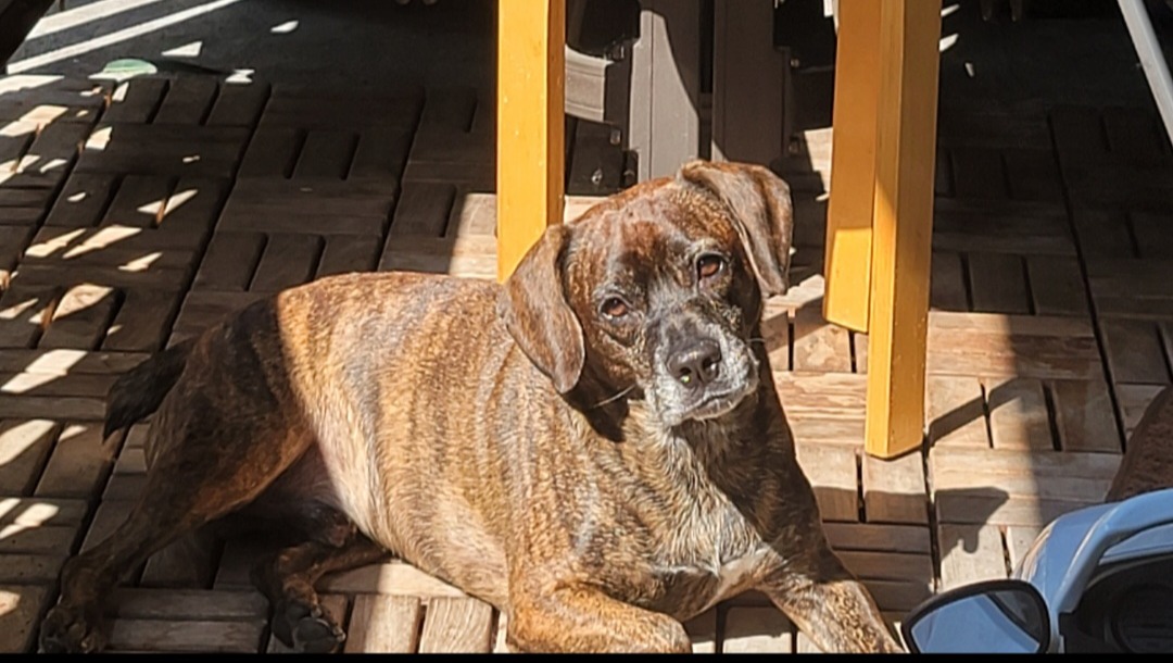 Fundraiser by Reinaldo Rodriguez : Support Laylen's Family After ...