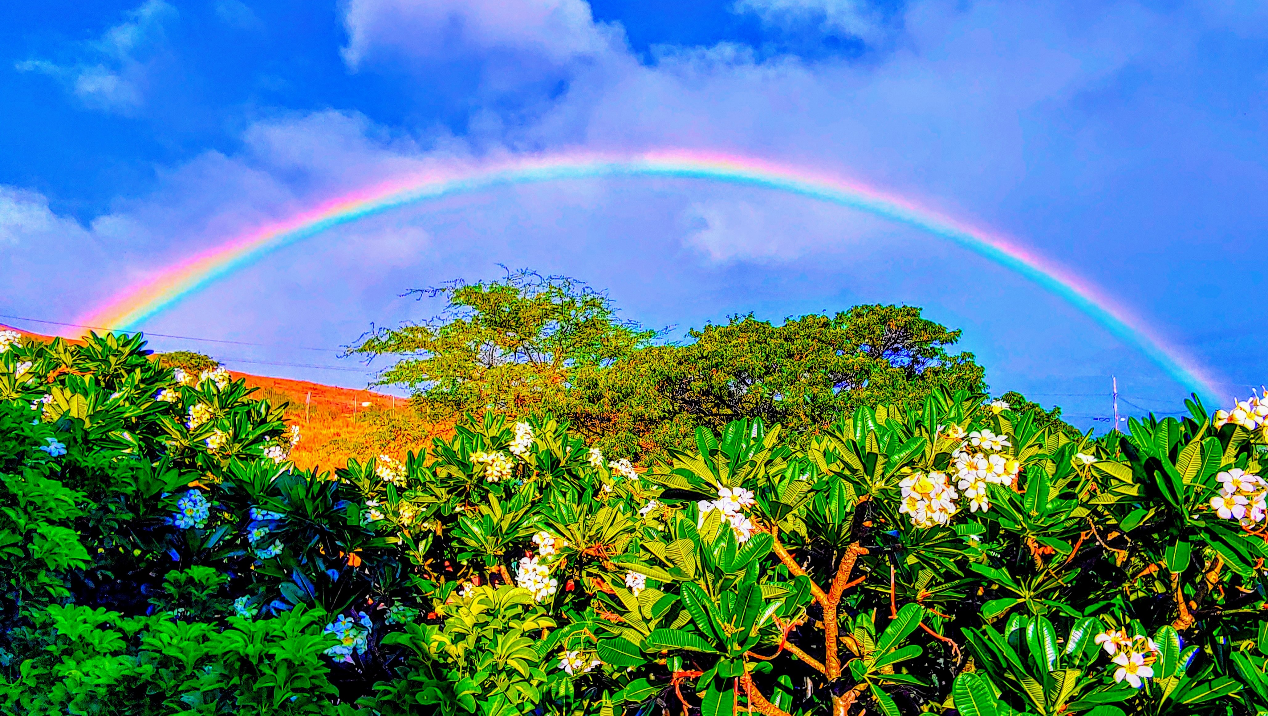 Fundraiser by Lenia Rexrode : Support a Memorial for Molokai's Lost Youth
