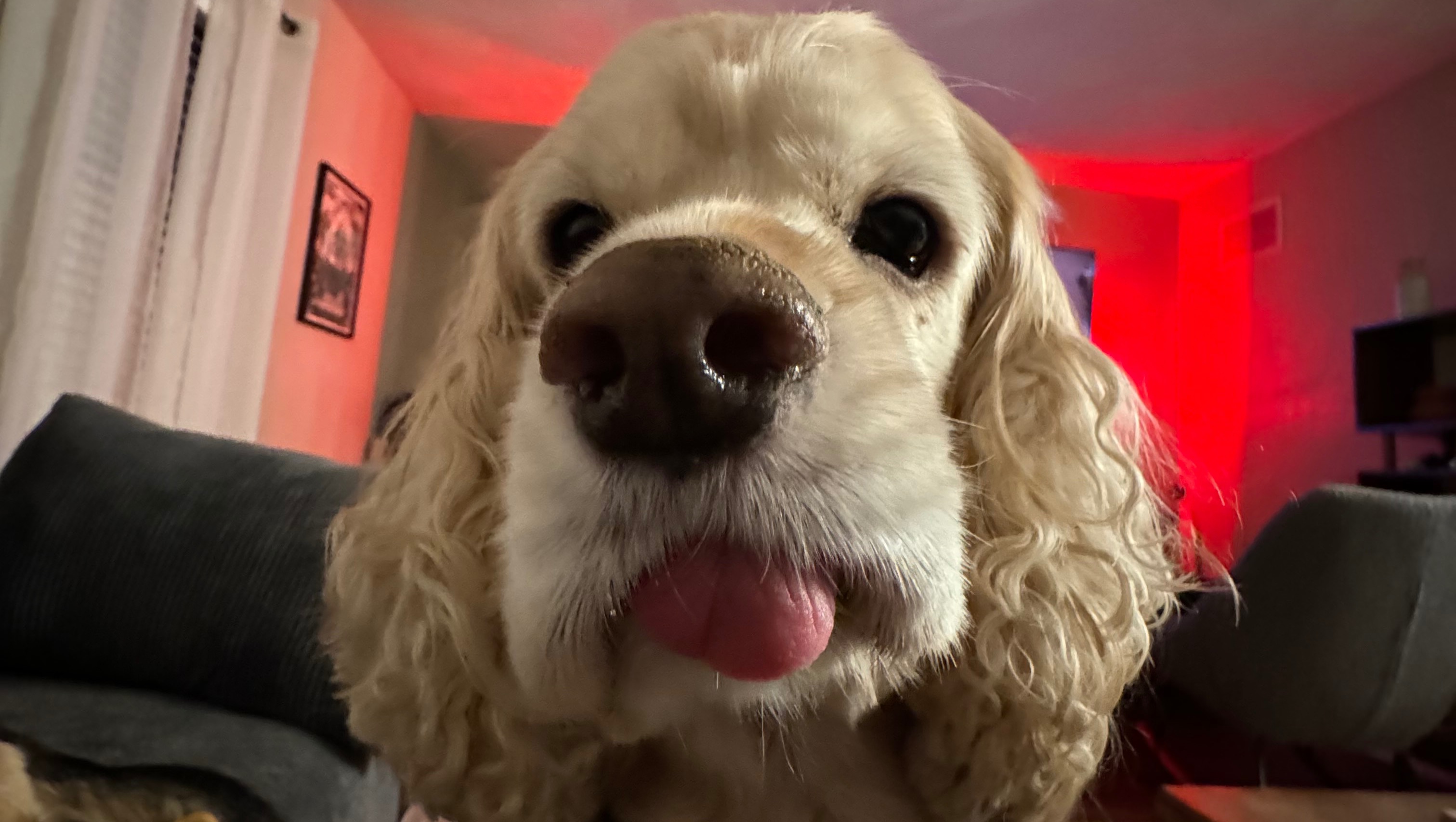 Fundraiser for Brett Hunter by Brittni Chapman : Help Marlin Overcome a ...