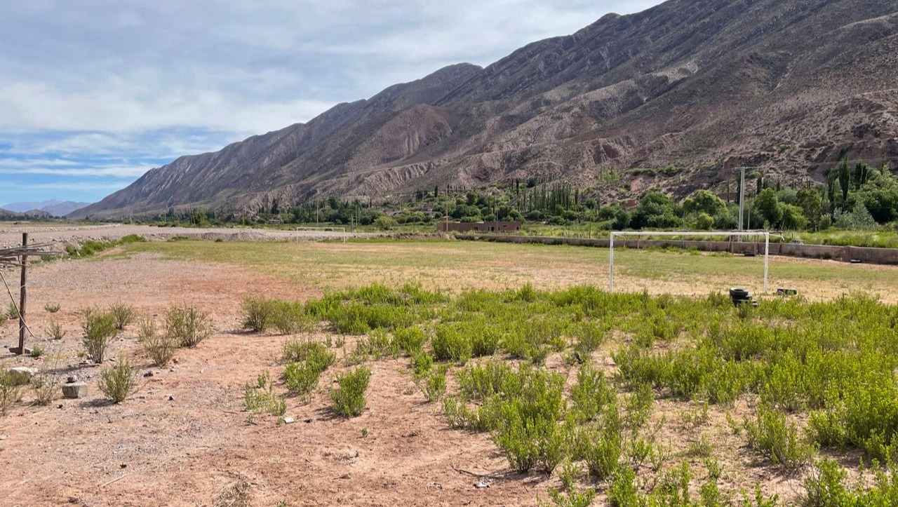 Fundraiser by Josh Lubetkin : Lubetkin Field Foundation - Phase 2 ...