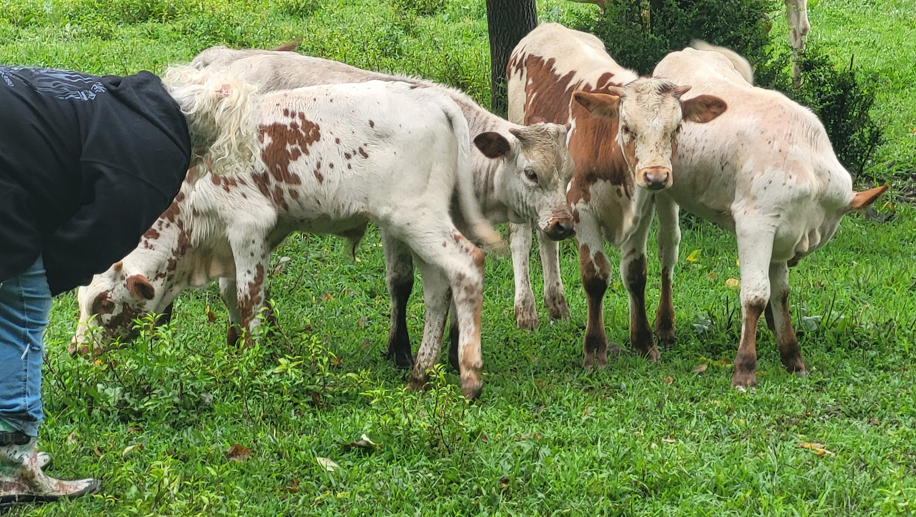 Fundraiser by Kevin Bond : Bk Farm needs your help