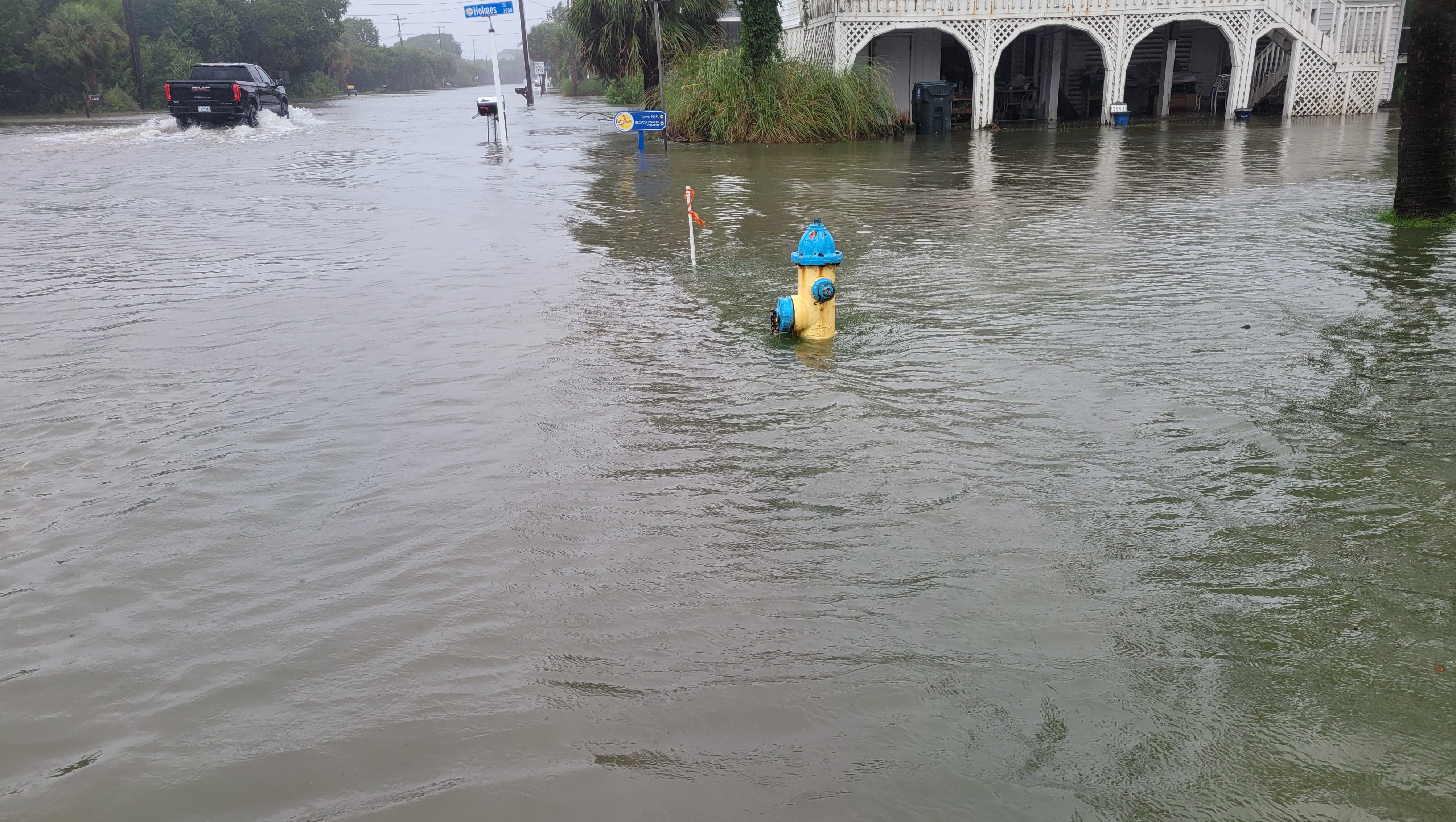 Fundraiser for Phoebe Allen by Edisto relief Relief : Donate to Honor ...