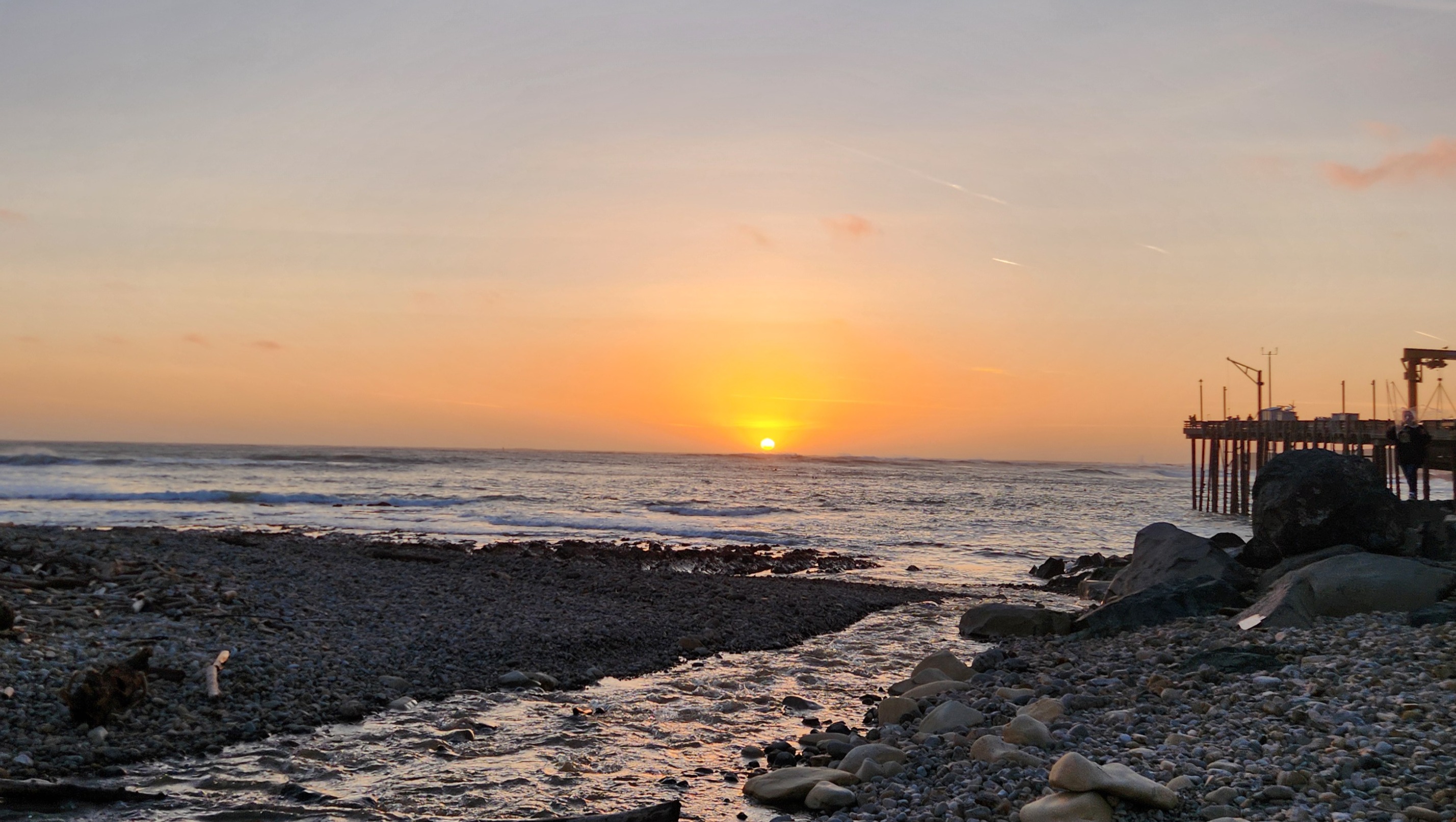 Fundraiser by Marta Lopez : FISH FEST 2024