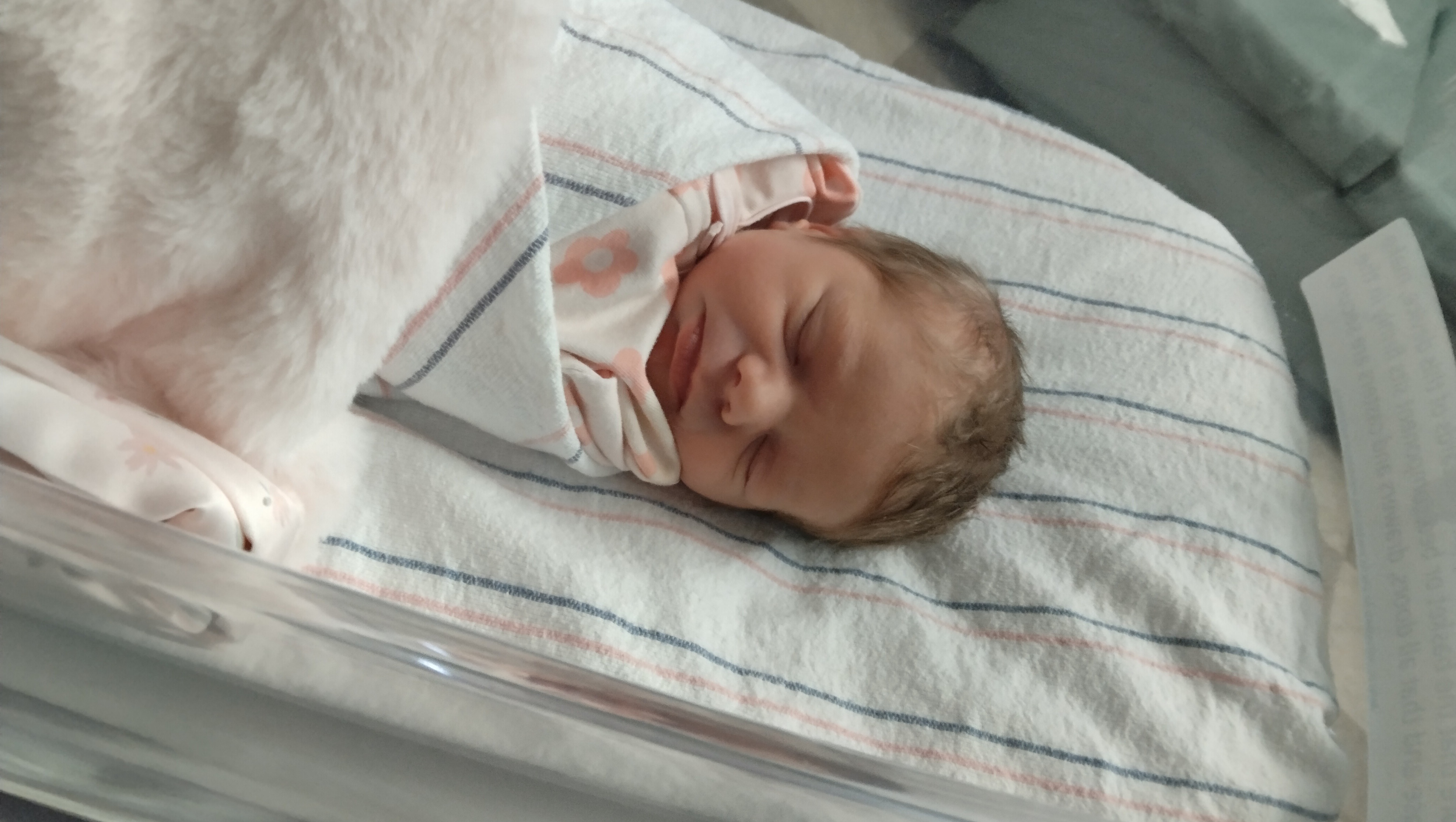 Fundraiser by Summer Grubbs : Aid Rose Lily's Family After Early Birth