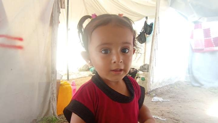 Fundraiser by Mohammed Anani : Help for Gaza Children Palestine