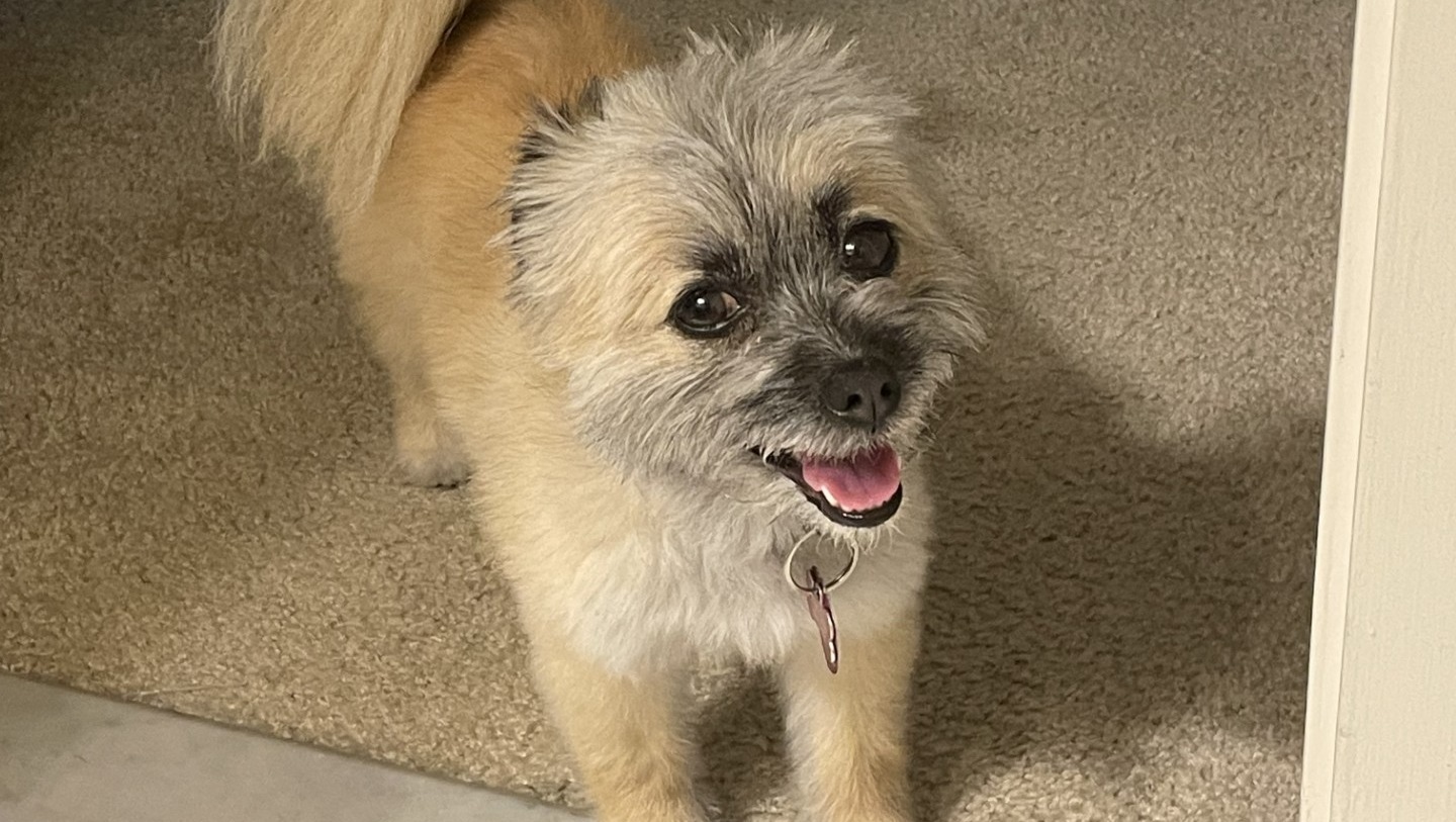 Fundraiser by Ilene Stevens : Help support Mia's fight for her life in ICU