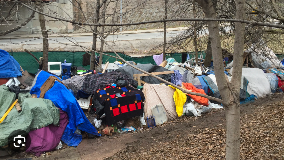 Fundraiser by Patrick Freivald : Aid My Niece's Path to a Better Life