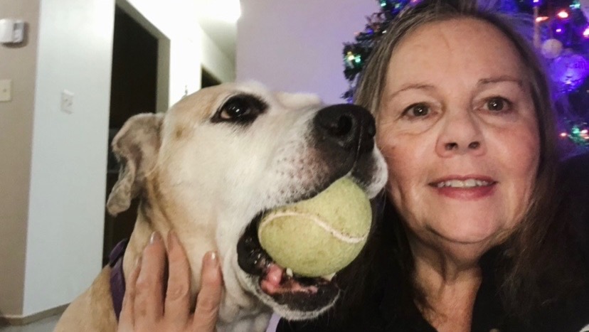 Fundraiser for Carol Silva by Teri Ryan O'Donnell : Help My Cousin ...