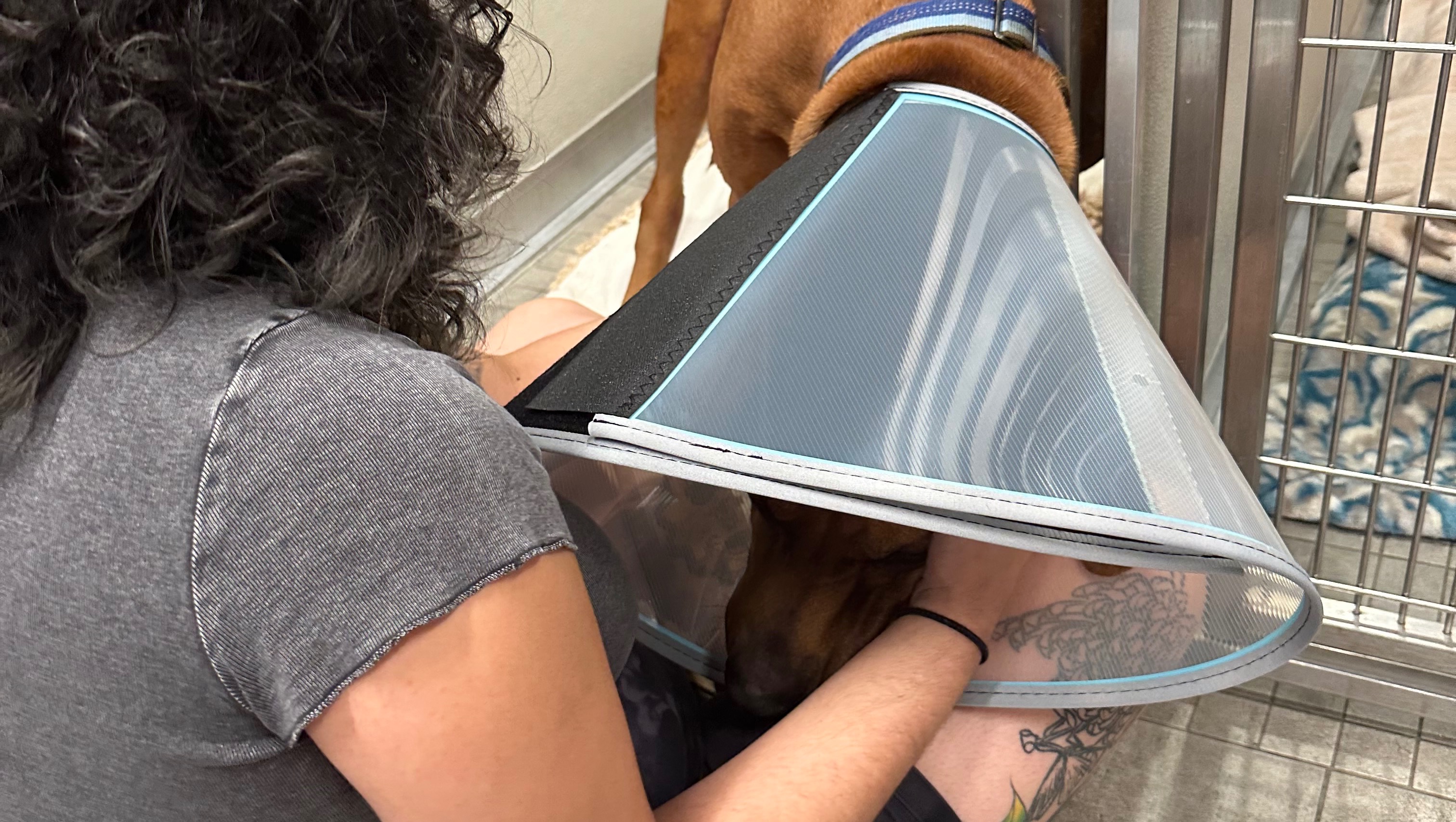 Fundraiser by Mari Viales : Support Mylo's Journey Back to Health