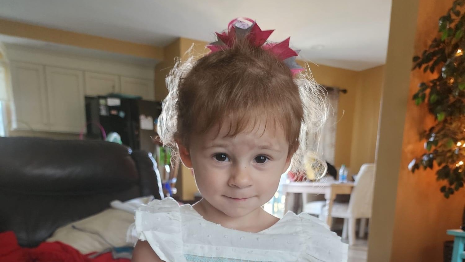 Fundraiser by Regina Carter : Help Ginny's Family with Funeral Expenses