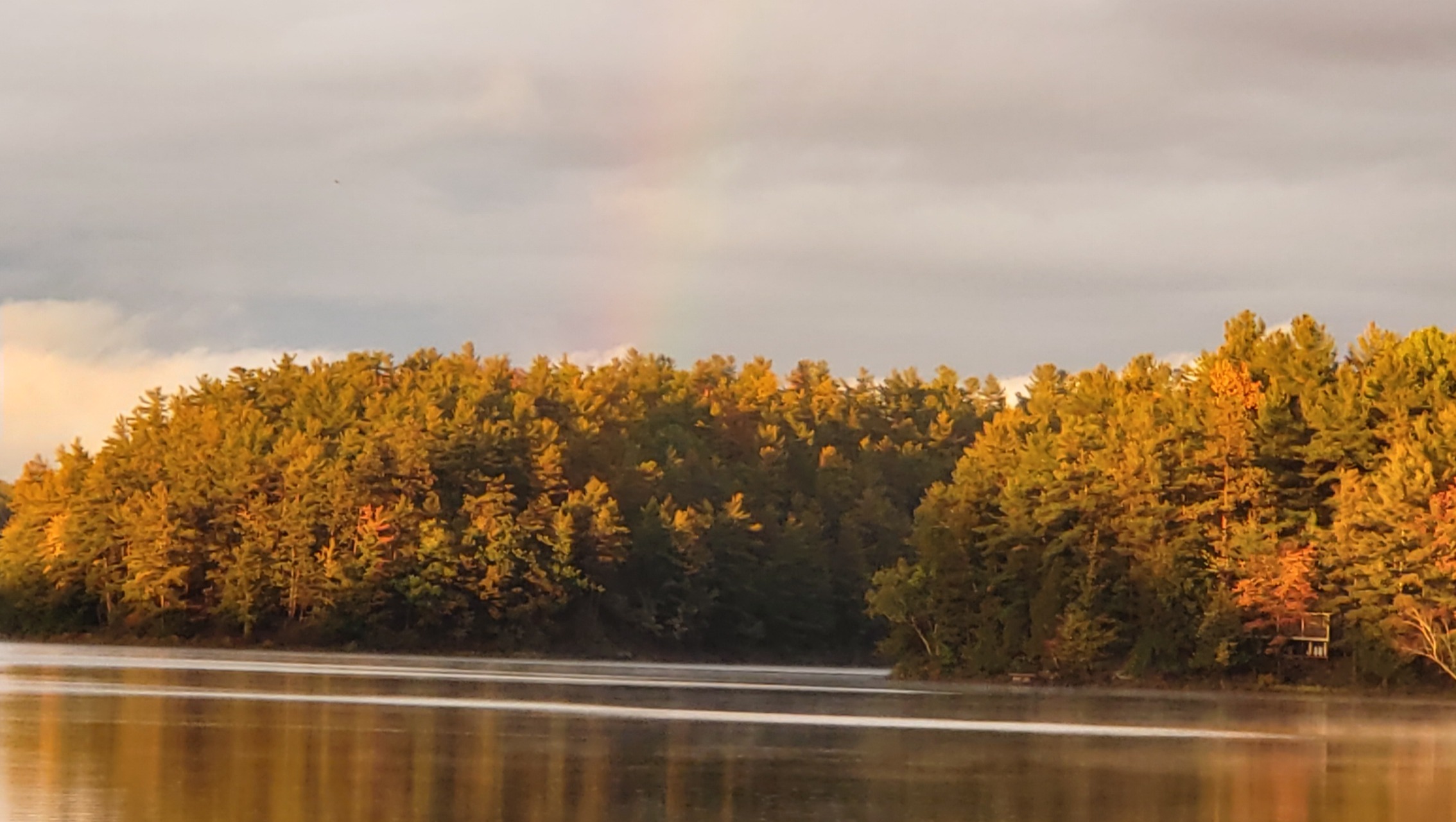 Fundraiser by Carla Freeman : help through a bump in the road