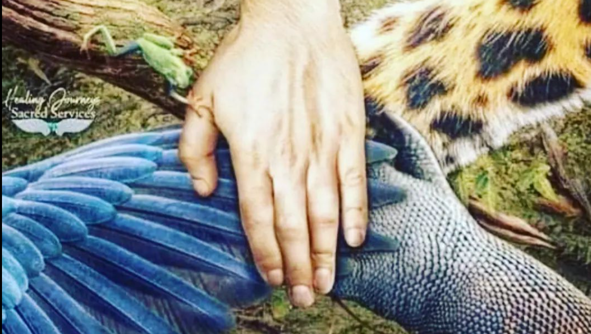 Fundraiser for Alison Klahr by Gabrielle Campagna : Support for Ali ...