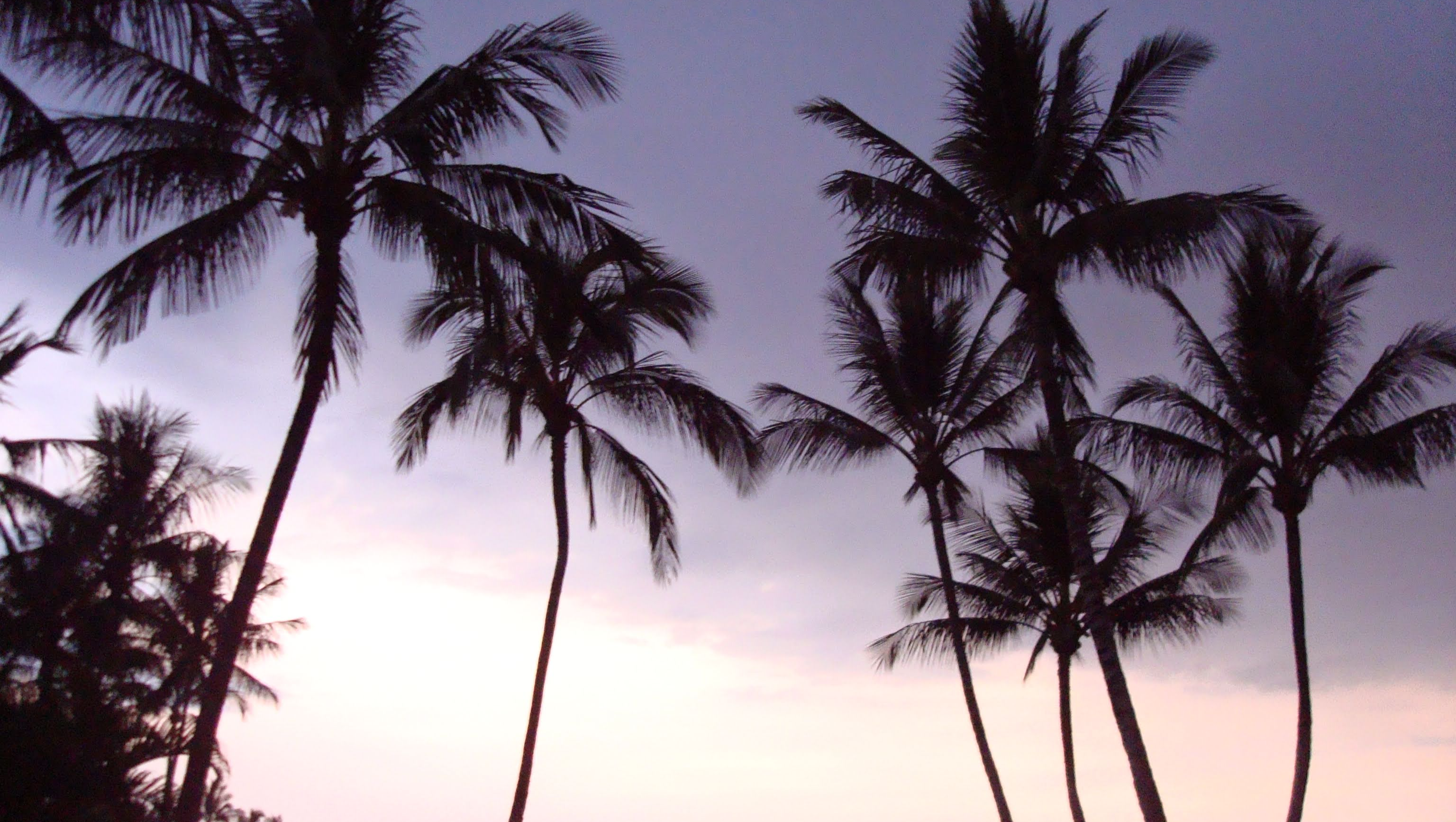 Fundraiser for Rose Carver by Nicole Bloom-Norris : Let's help Rose and ...