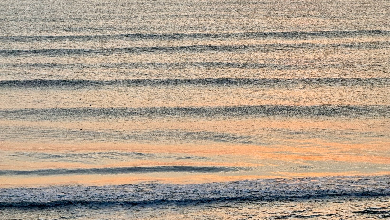 Fundraiser by kerry kerlin : Help one our future HUMANITARIAN Facing ...