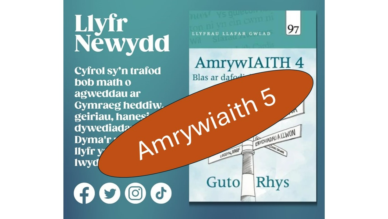Fundraiser by Guto Rhys : Amrywiaith 5