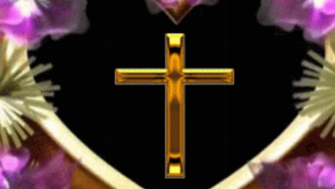 Fundraiser by Deborah Akins : Support The Wills Family on their medical ...