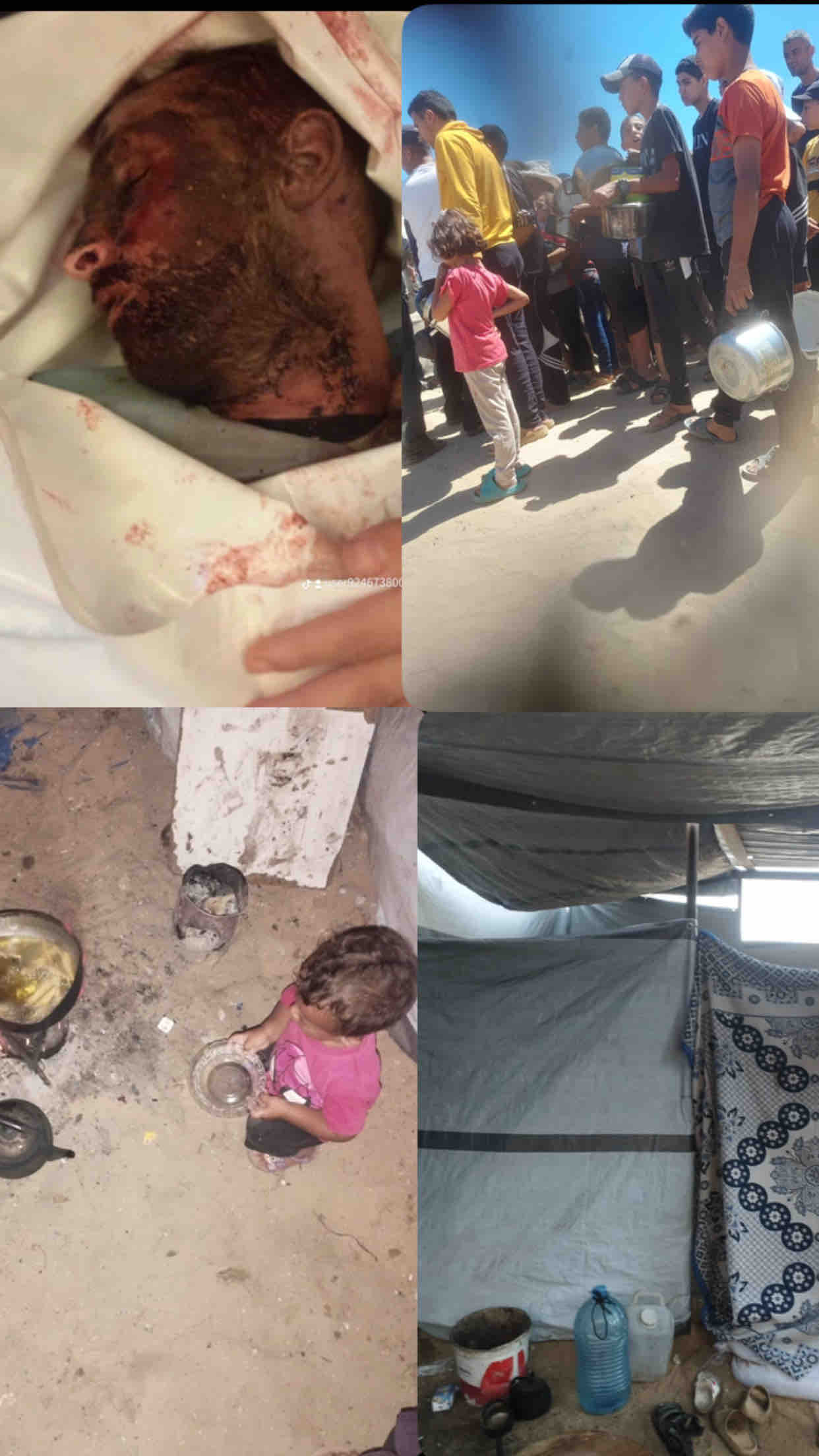 Fundraiser by Sabah Qeshta : Emergency support for a family in Palestine